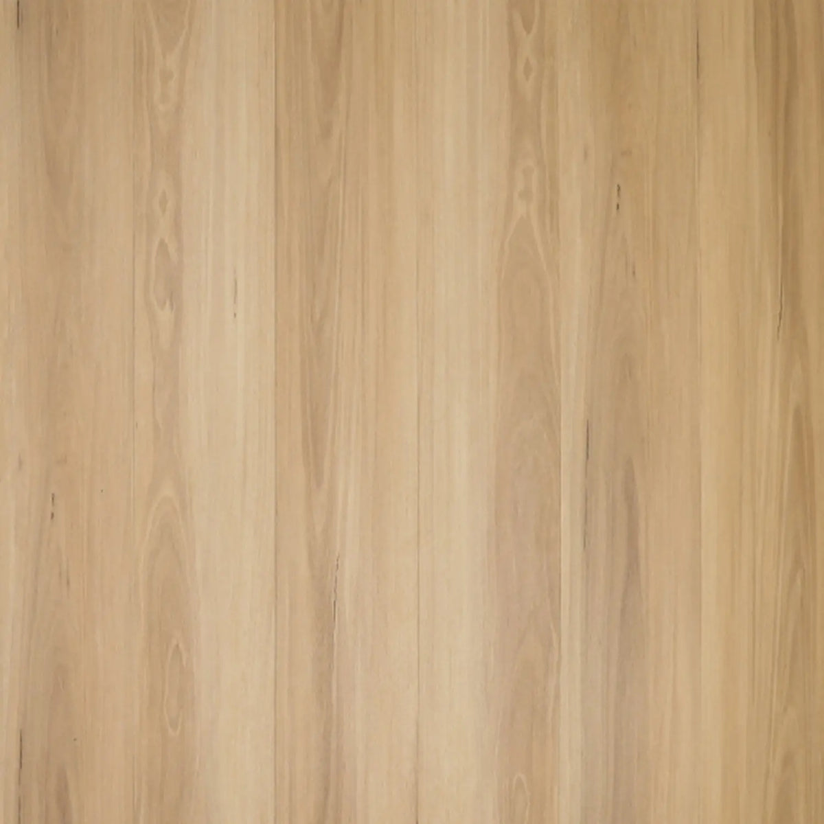 New England Blackbutt Quattro Hybrid Flooring | Waterproof Flooring – DecoRug