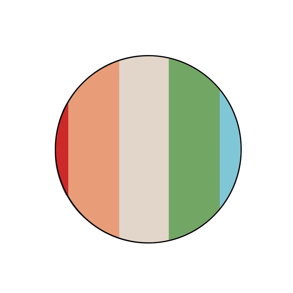 Multi-Coloured Rugs - Vibrant & Stylish | DecoRug Australia