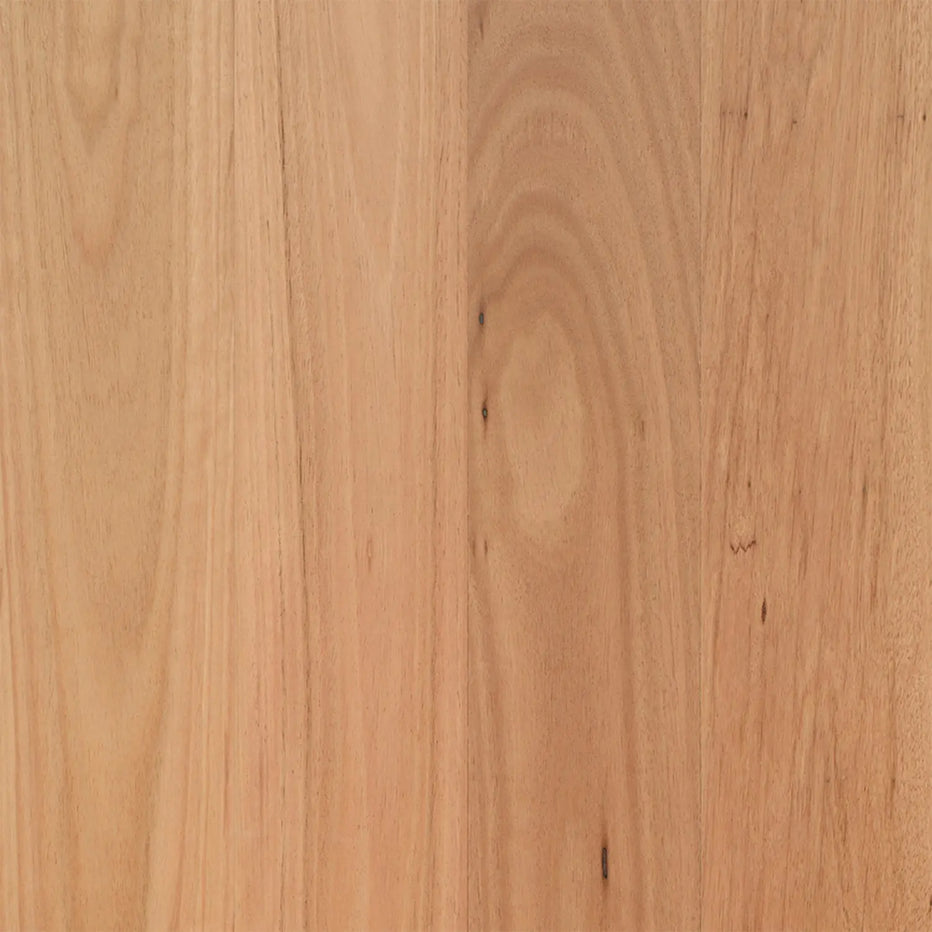 Coastal Blackbutt Opulence Native Timber Flooring - DecoRug