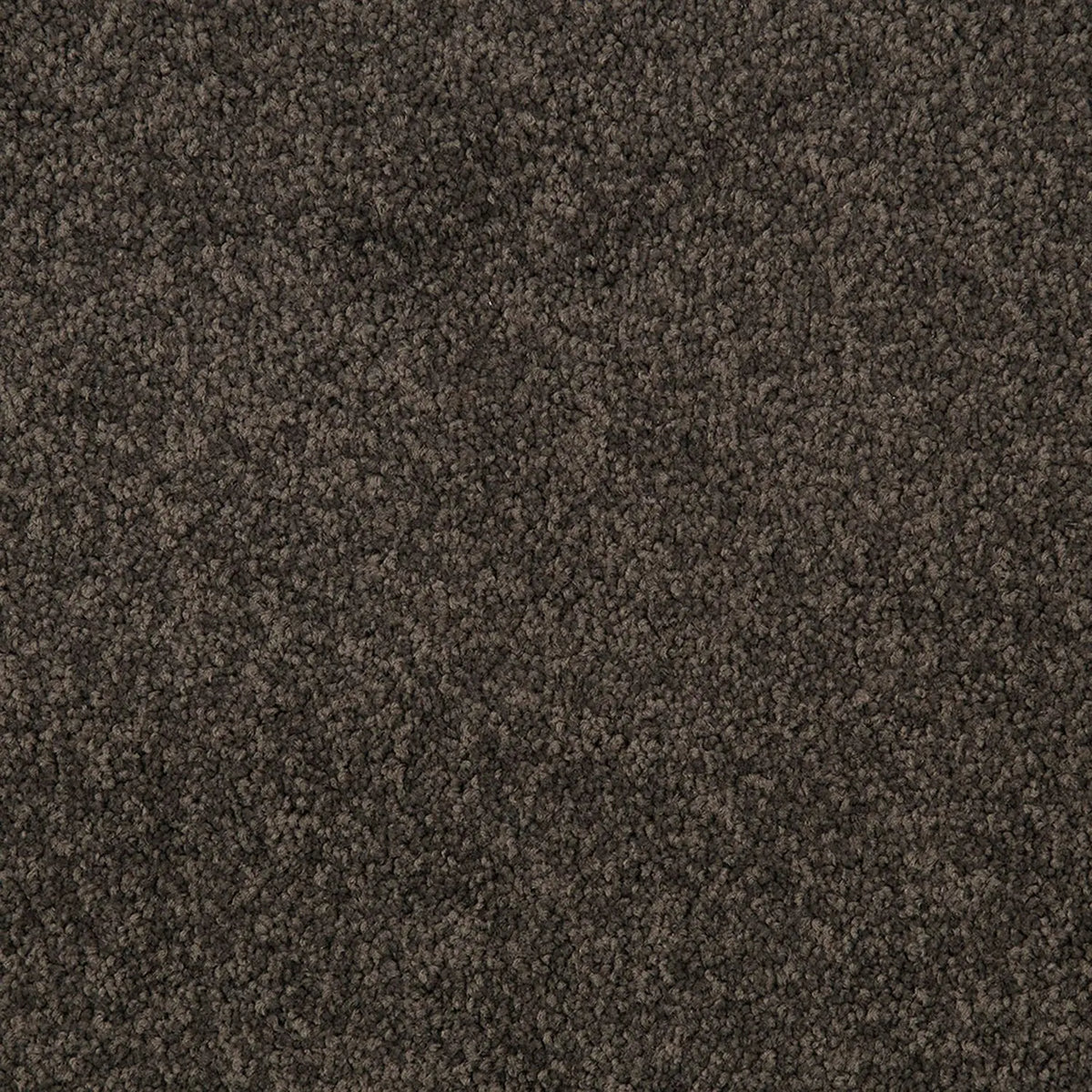 Point Peron Carpet | Solution Dyed Polyester Carpet – DecoRug