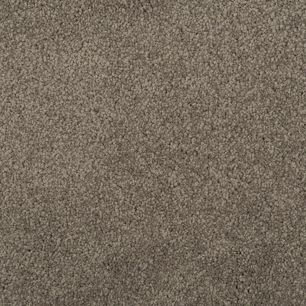 Point Peron Carpet | Solution Dyed Polyester Carpet – DecoRug