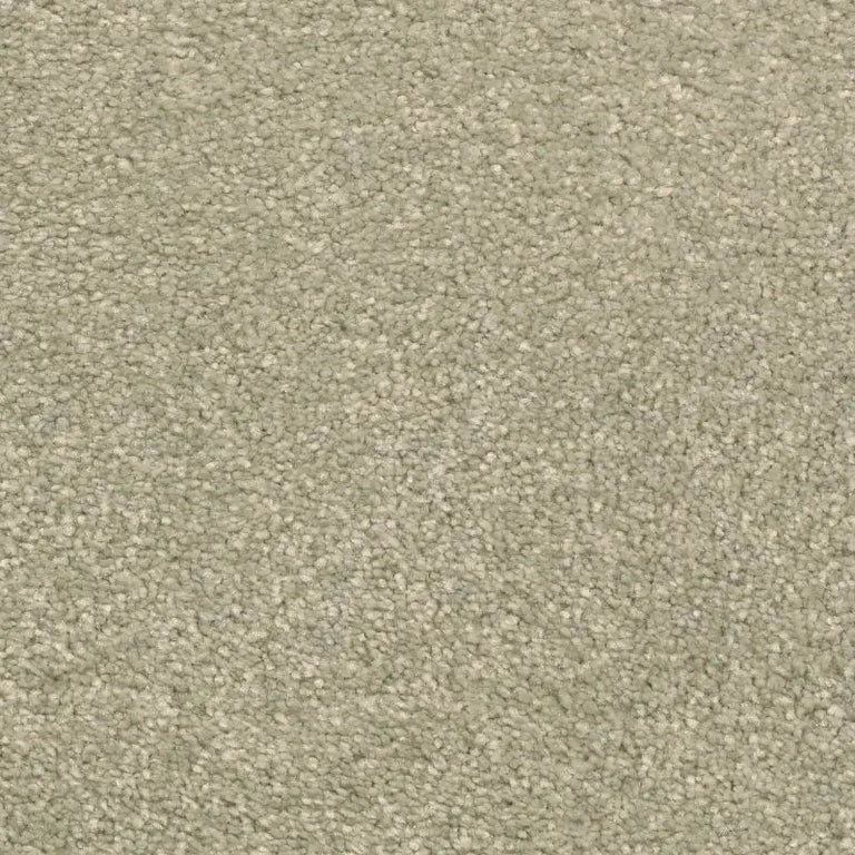 Avant Garde Carpet by Signature at DecoRug! Request a FREE Quote!