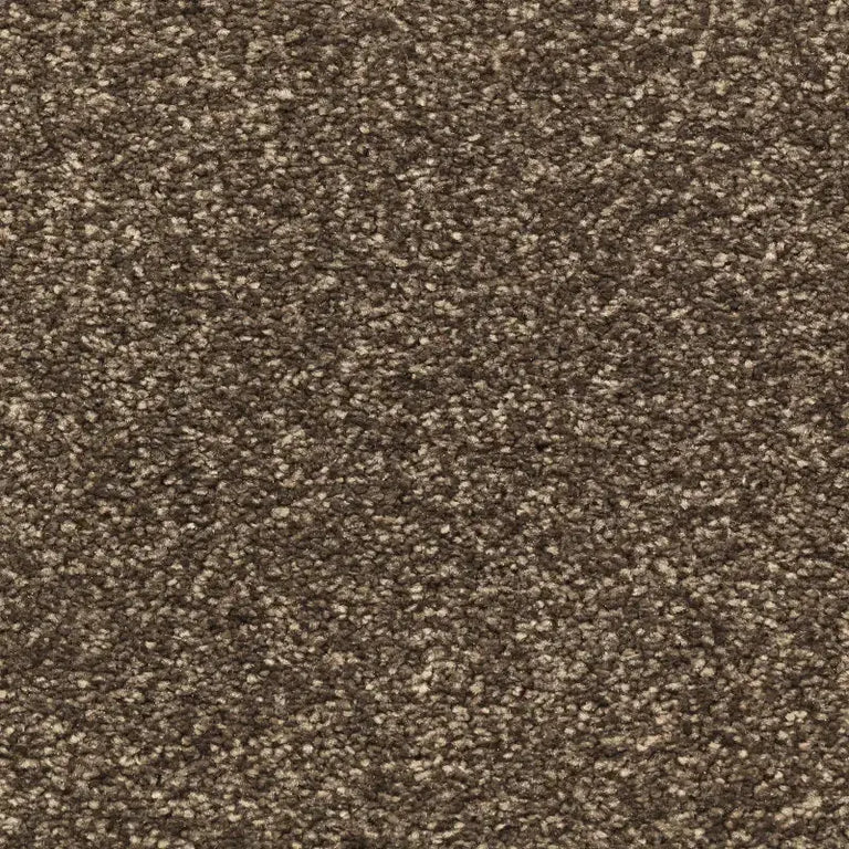 Avant Garde Carpet by Signature at DecoRug! Request a FREE Quote!