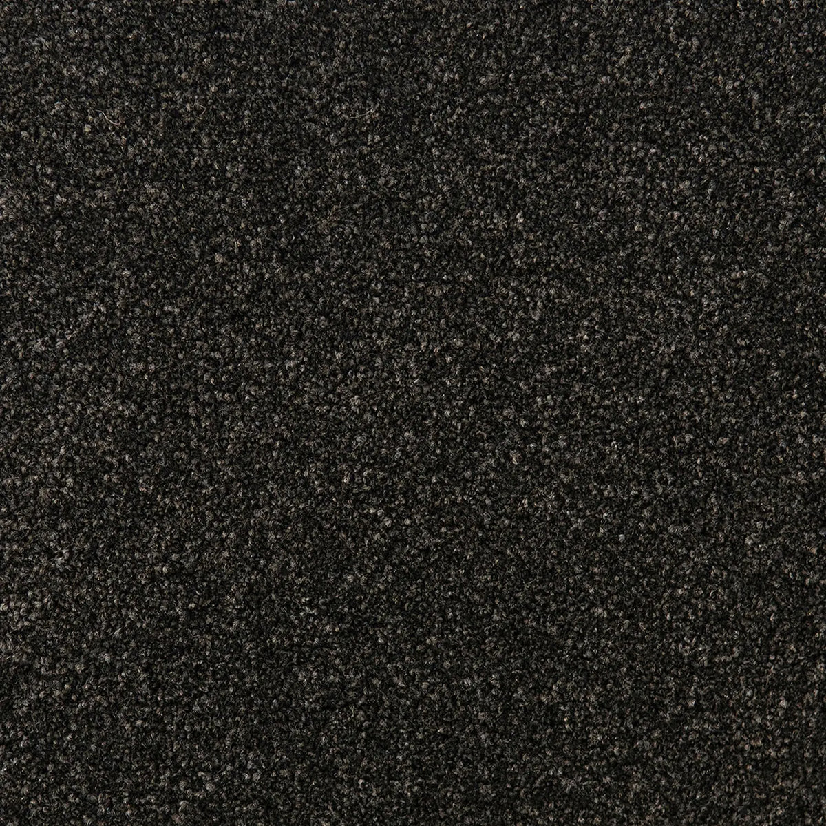 Bon Bon SDN Carpet | Solution Dyed Nylon Carpet – DecoRug