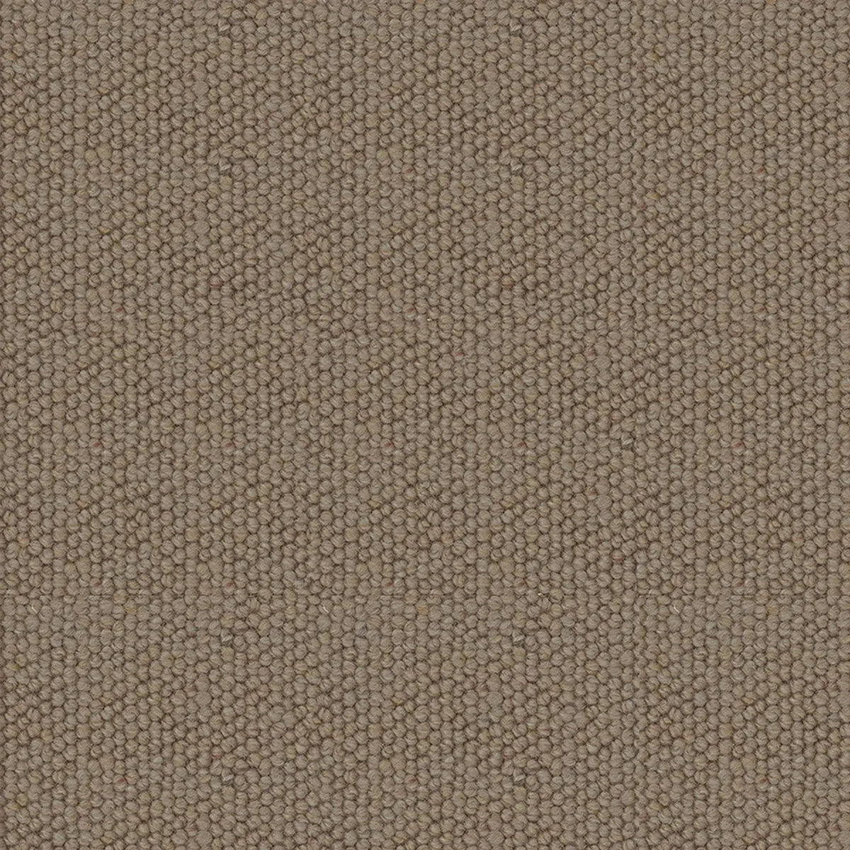 Carramar Carpet at DecoRug! Request a FREE Quote!