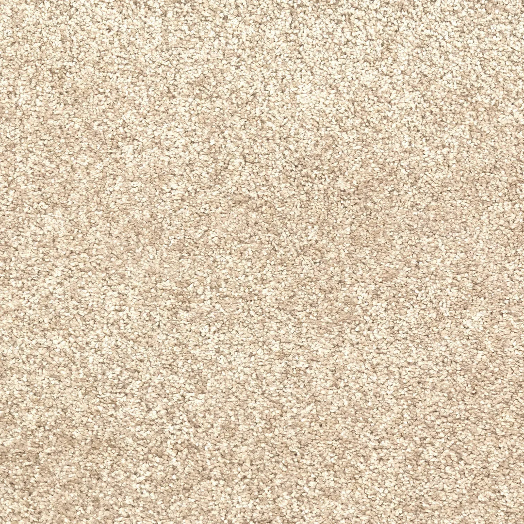 Signature Flooring - Explore Signature Carpets and Flooring Solutions ...