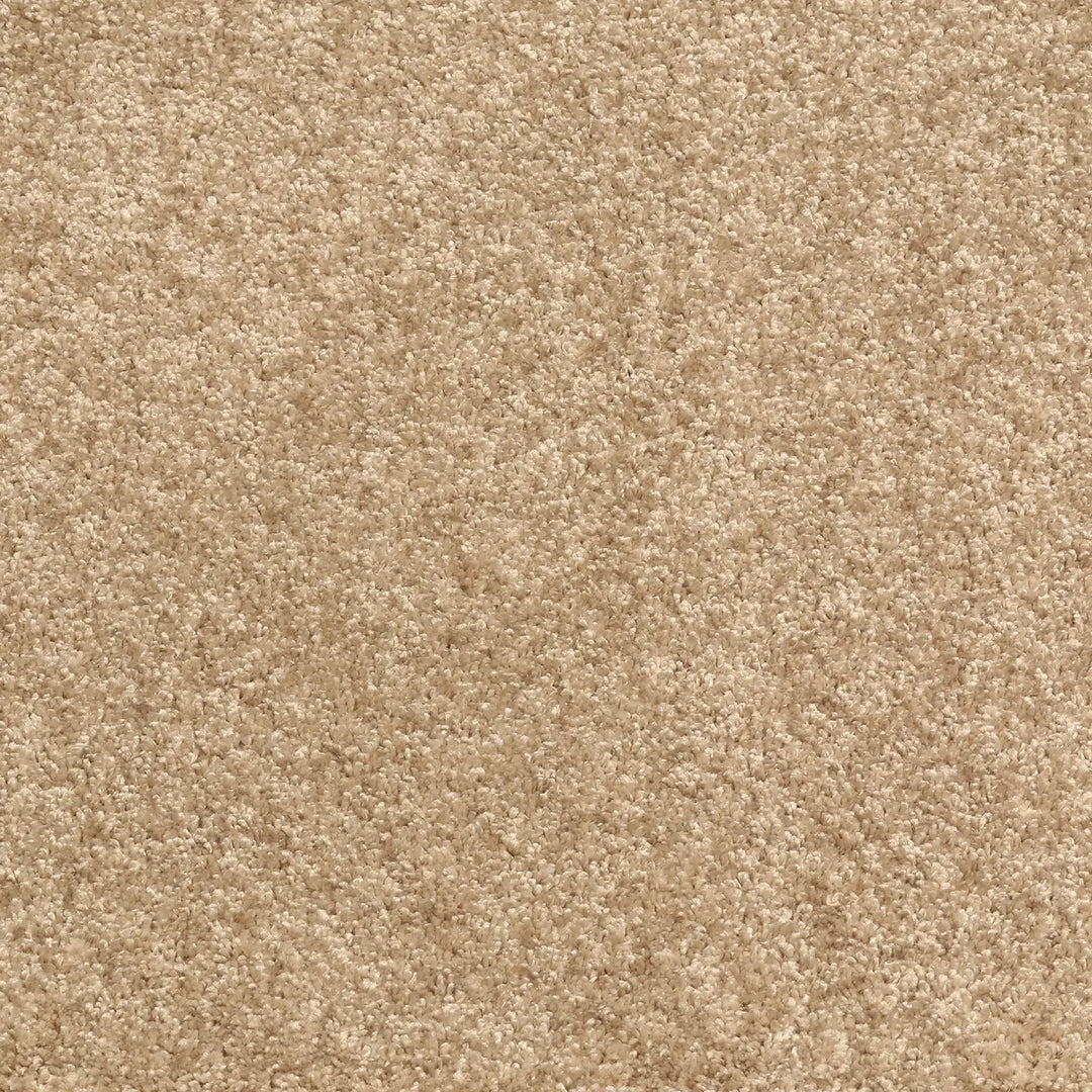 Signature Flooring - Explore Signature Carpets and Flooring Solutions ...