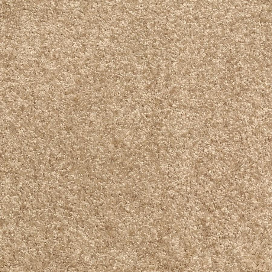 Signature Flooring - Explore Signature Carpets and Flooring Solutions ...