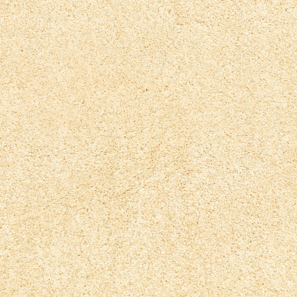 Glamour Carpet by Godfrey Hirst at DecoRug! Request a FREE Quote!
