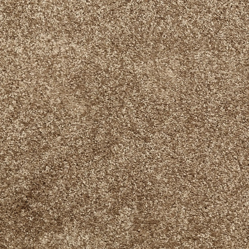 Glamour Carpet by Godfrey Hirst at DecoRug! Request a FREE Quote!