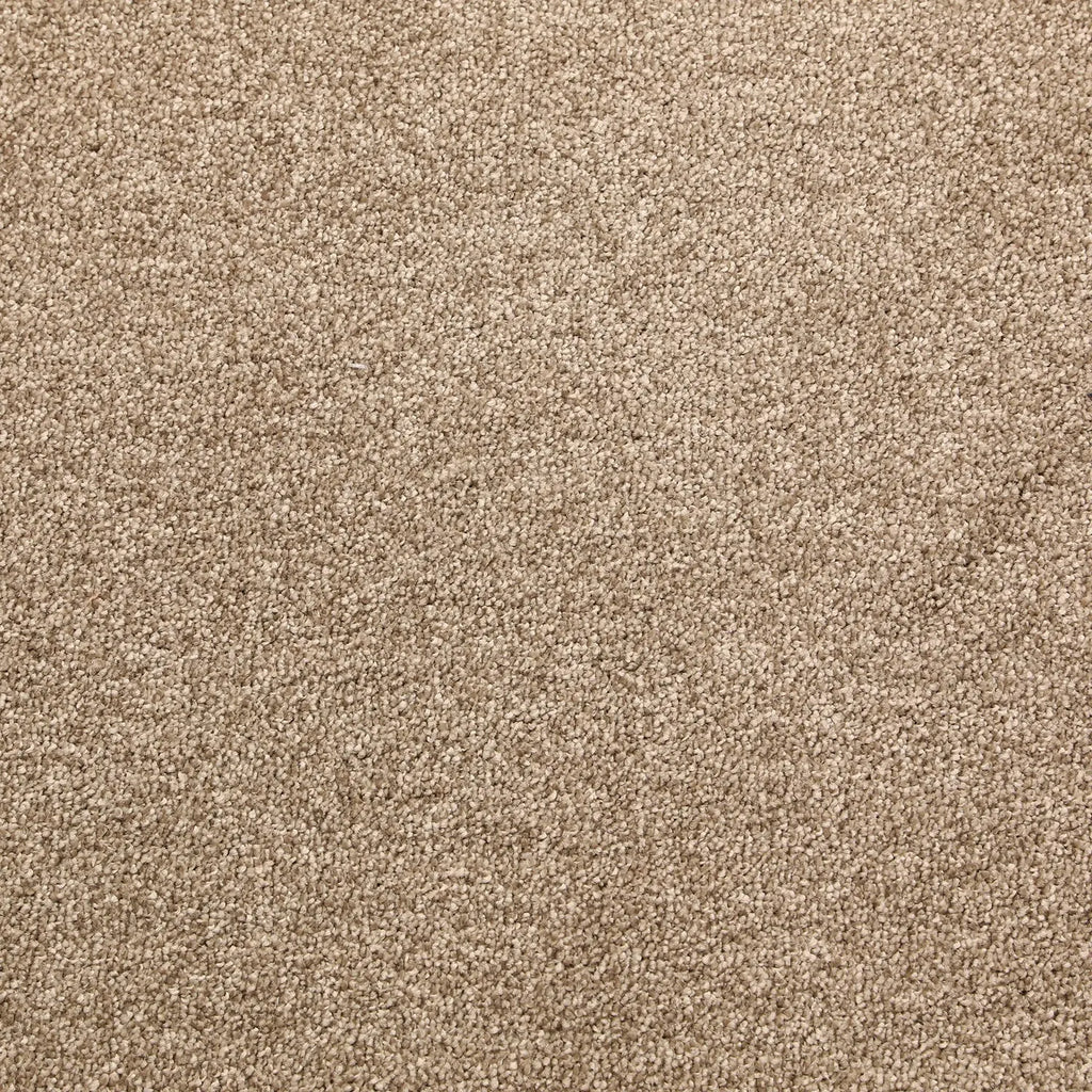Hip Hop Carpet - Solution Dyed Polyester Carpet – DecoRug