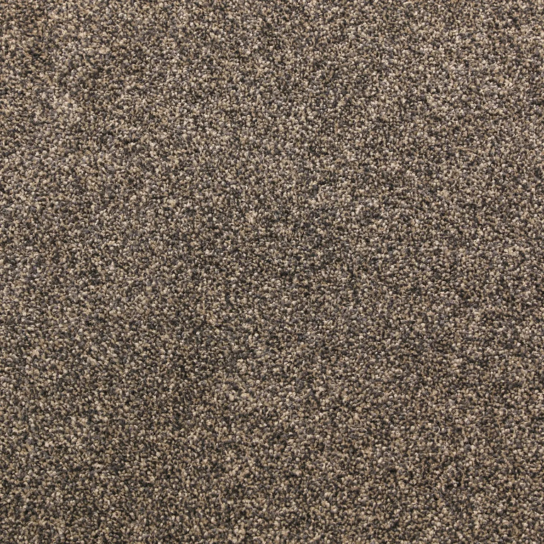 Hip Hop Carpet - Solution Dyed Polyester Carpet – DecoRug