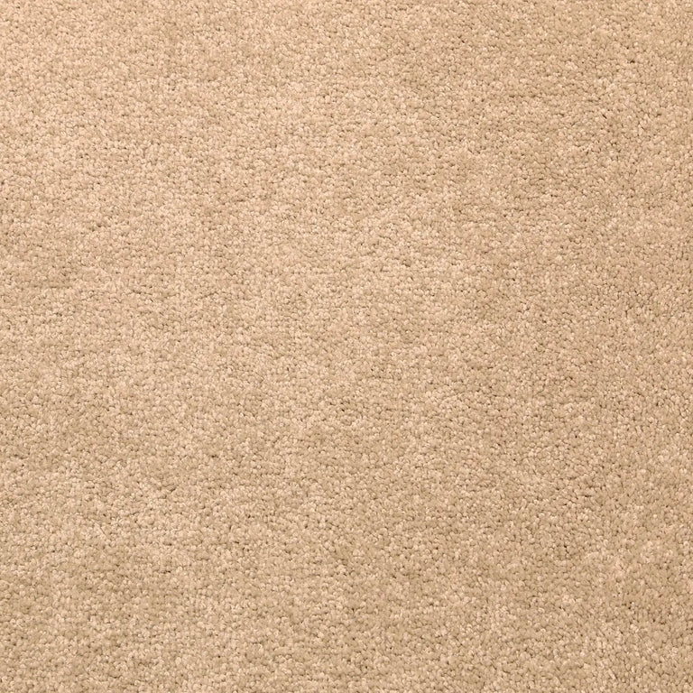 Hip Hop Carpet - Solution Dyed Polyester Carpet – DecoRug